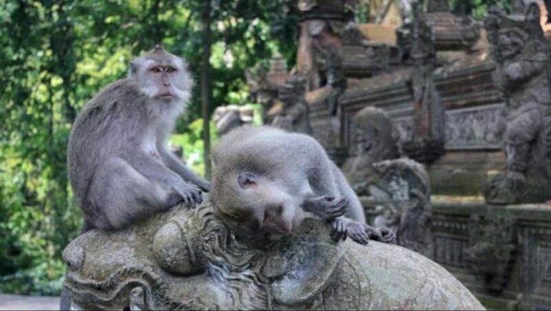 Ubud Day Tour  Japanese Guide Included - FAQ