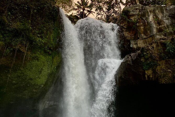 Ubud Day Tour - Private Ubud Tour Guide - Best Of Ubud Tour - Final Thoughts