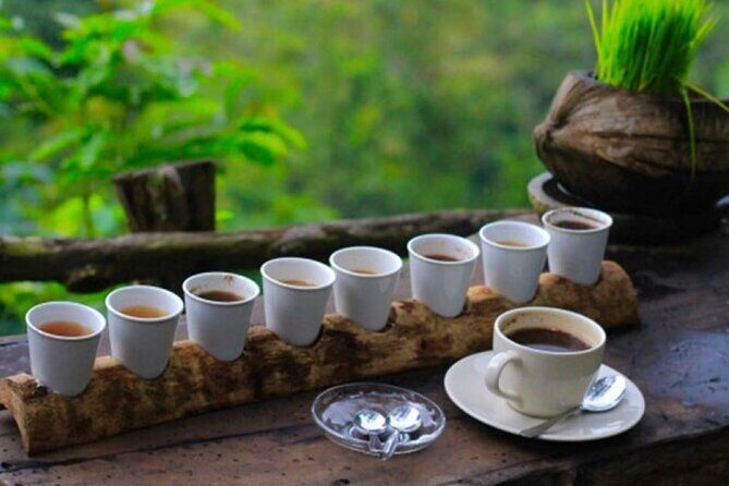 Ubud Day Tour: Sacred Monkey Forest, Rice Terraces and Waterfall - An In-Depth Look at the Itinerary