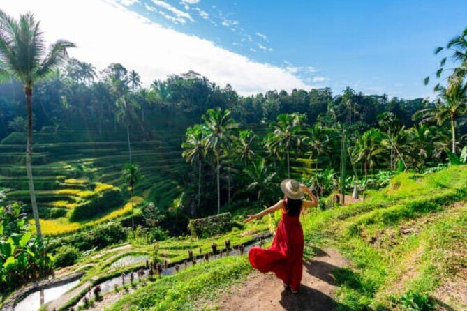 Ubud Day Tour: Sacred Monkey Forest, Rice Terraces and Waterfall - The Sum Up