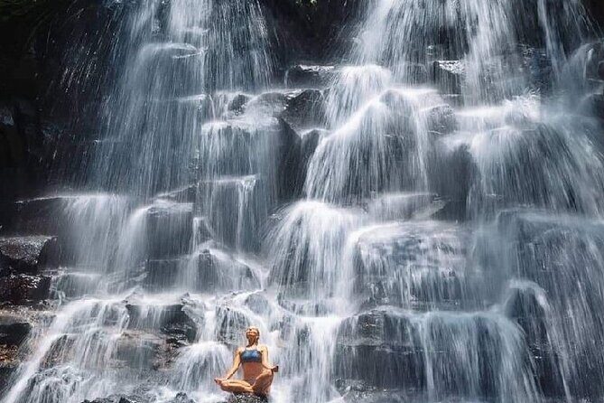 Ubud Day Tour : Waterfall, Temple and Local Night Market Tour - The Highlight: Sacred Monkey Forest