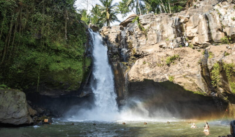 Ubud Day Tours (Private and All Inclusive) - Transport and Guide Experience