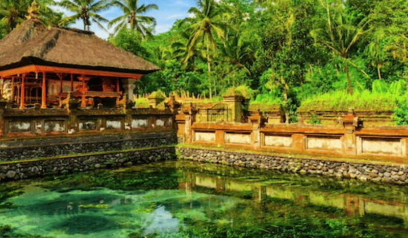 Ubud Day Tours (Private and All Inclusive) - Who Will Love This Tour?