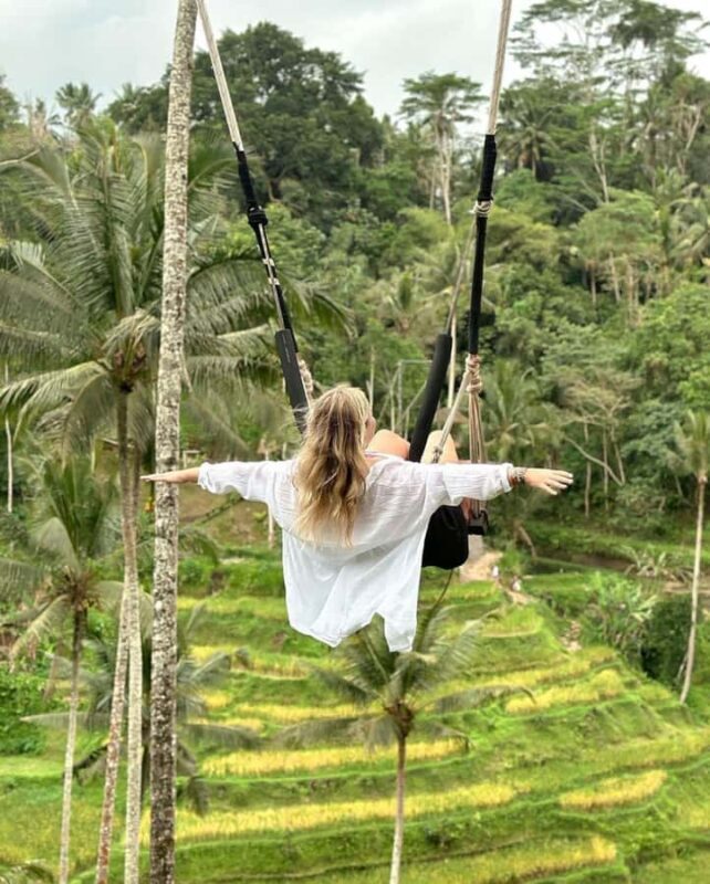 Ubud: Discover Hidden Waterfalls with Swing & Rice Terrace - Key Points