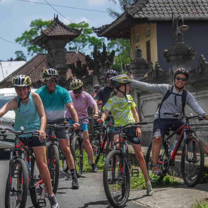 Ubud: Downhill Cycling Volcano, Jungle and Rice Terrace - Key Points