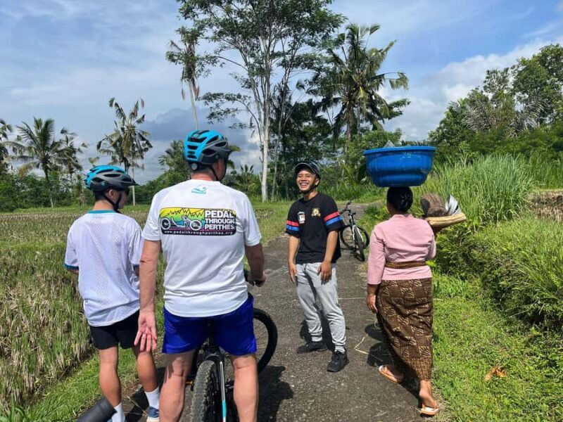 Ubud: Downhill Cycling with Volcano, Rice Terraces, and Meal - Lunch and End-of-Day Satisfaction