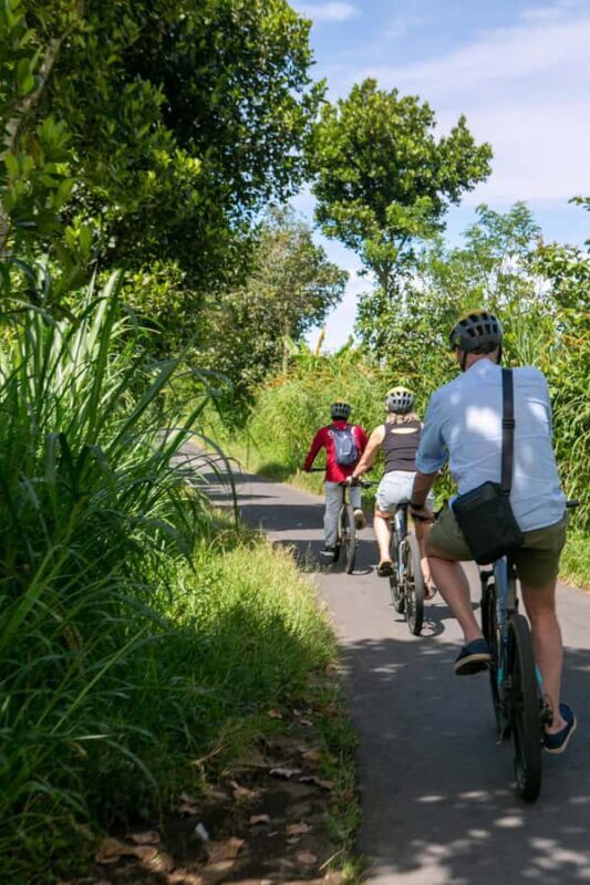 Ubud: Downhill Cycling with Volcano, Rice Terraces, and Meal - What Travelers Say