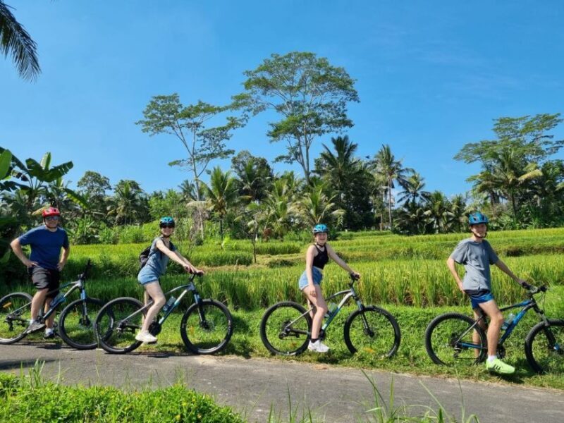 Ubud: Downhill Cycling with Volcano, Rice Terraces, and Meal - The Sum Up: Who Will Love This Tour?
