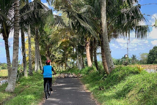 Ubud: Downhill Cycling with Volcano, Rice Terraces and Meal - Logistics and Practicalities