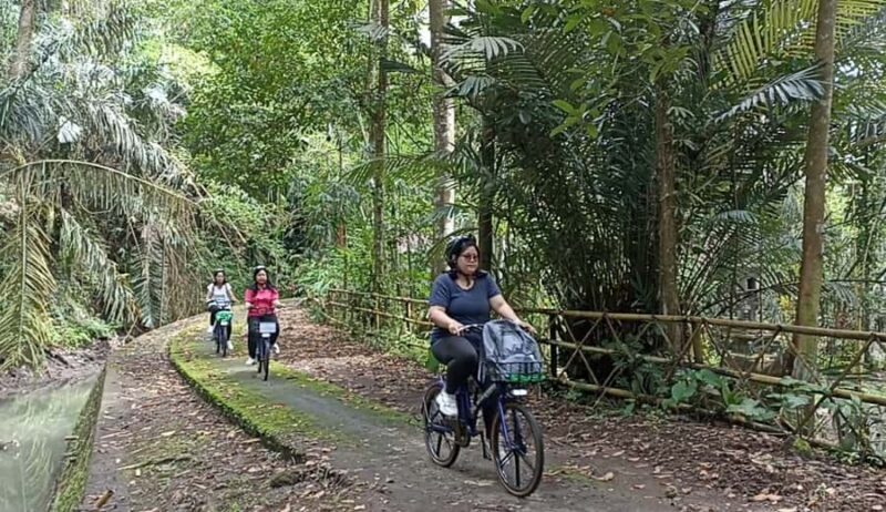 Ubud e-Bike Tour & Whitewater Rafting - Introduction to the Experience
