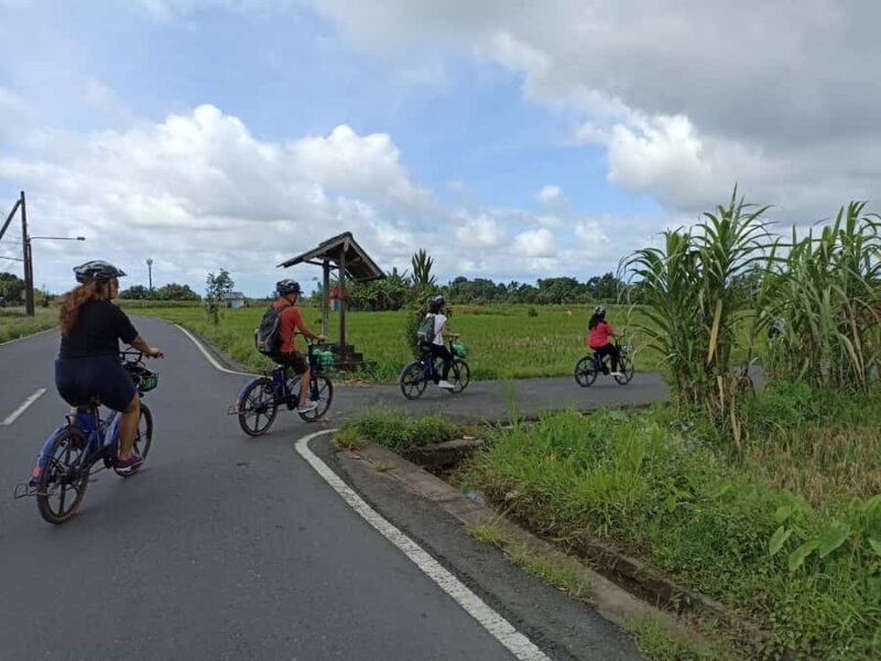 Ubud e-Bike Tour & Whitewater Rafting - Practical Details and What to Expect