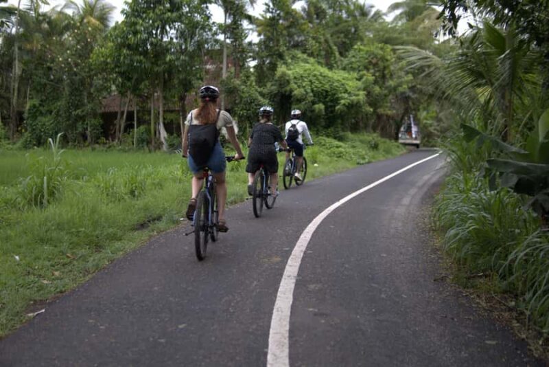 Ubud: E-Bike Tour with Rice Terrace and Village Visit - Key Points