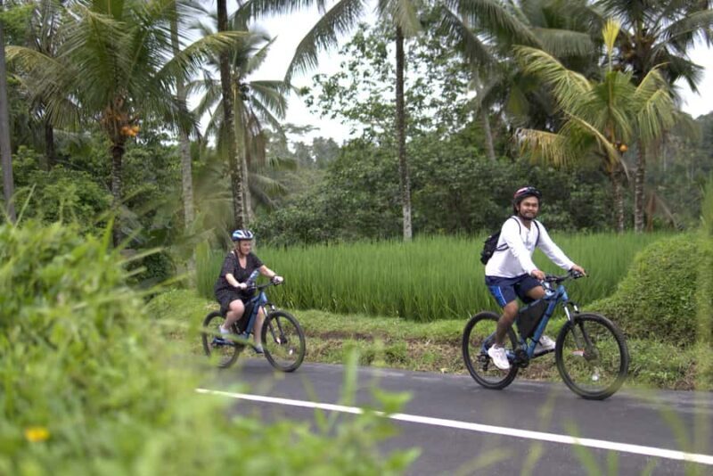 Ubud: E-Bike Tour with Rice Terrace and Village Visit - The Riding Experience