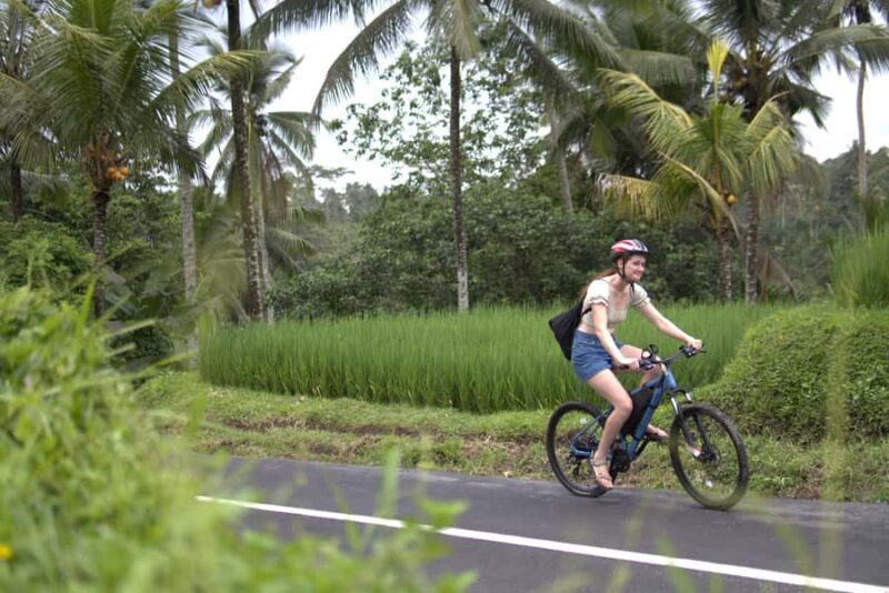 Ubud: E-Bike Tour with Rice Terrace and Village Visit - Authenticity, Value, and Overall Experience