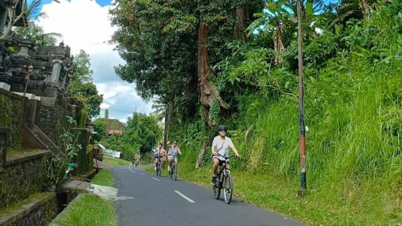 Ubud: E-Bikes Tour & Swing Bali - The Adventure Ends with a Thrilling Swing