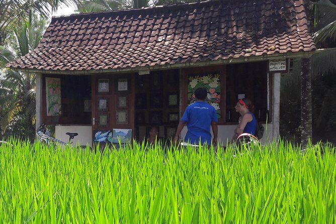 Ubud Eco Culture Cycling Exploration - Value and Price: Is It Worth It?