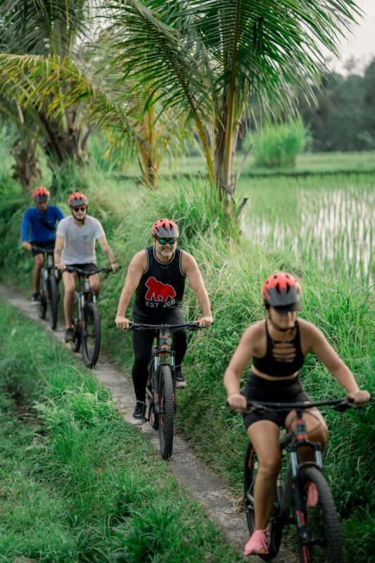 Ubud Eco Culture Cycling - An Easy Start at Peliatan Soccer Field