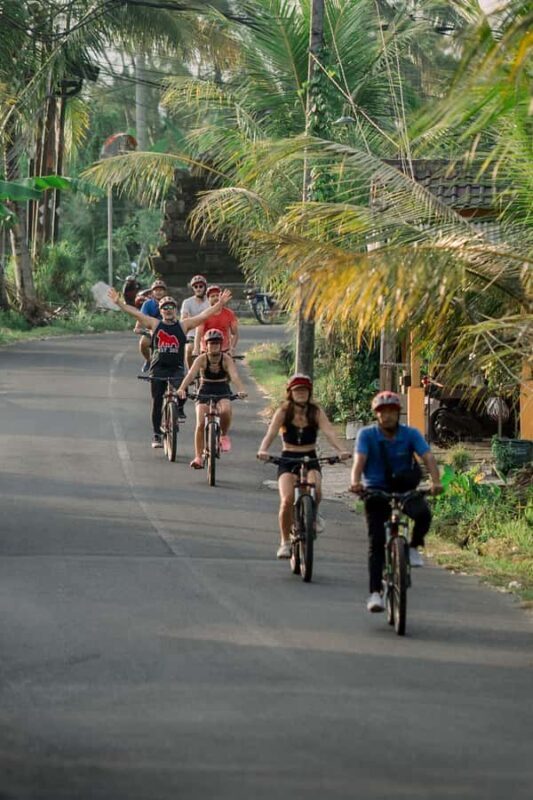 Ubud Eco Culture Cycling - Rolling Through Paddy Fields and Engaging with Local Art