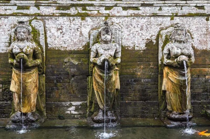 Ubud: Elephant Cave & Pakerisan UNESCO Guided Tour - Who Will Love This Tour?