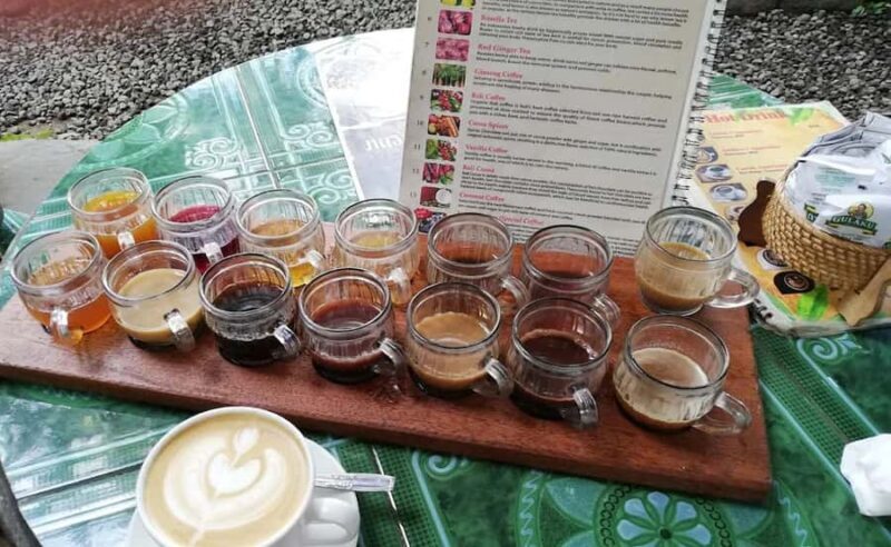 Ubud: Exclusive Track ATV/QUAD Ride and Coffee Luwak Tour - The Real Experience: Pros and Cons