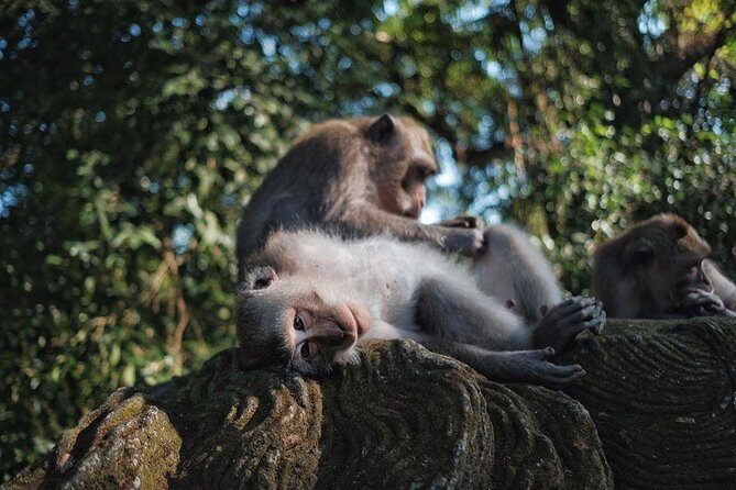 Ubud Excursion: Barong Dance, Art Villages, Nature, Temple and Waterfall - FAQ