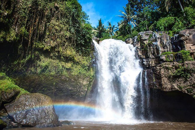 Ubud Experience - Who Will Love this Tour?