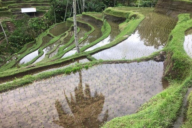 Ubud Experience - Frequently Asked Questions
