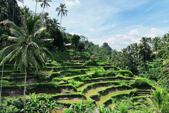Ubud Experience | Full Day Private Tour in Ubud | FREE WIFI - Sources