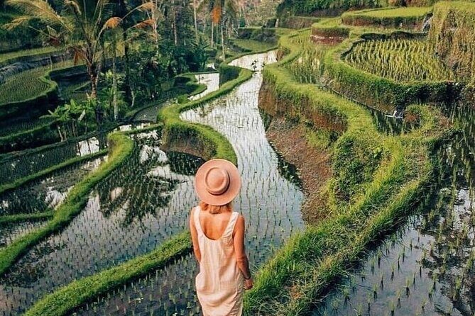 Ubud Explorer Private Day Tour - Why This Tour Offers Great Value