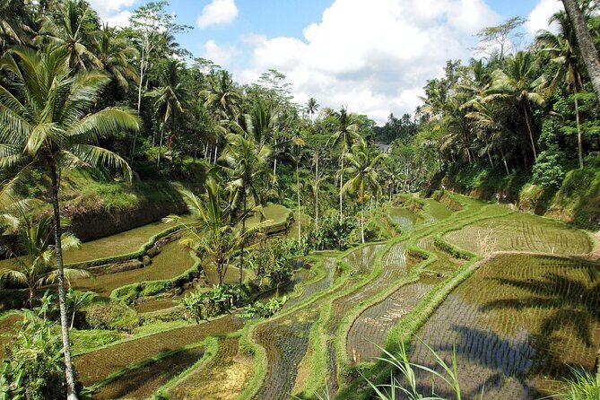 Ubud Explorer Private Day Tour - Who Should Consider This Tour?