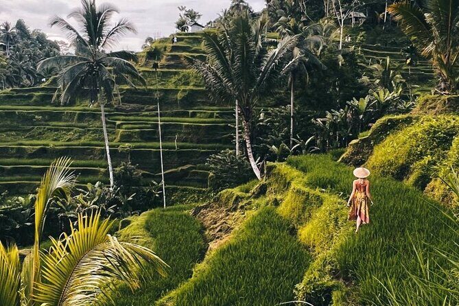 Ubud Full Day All Inclusive Tour - Private Experienece - The Sum Up: Who Should Consider This Tour?