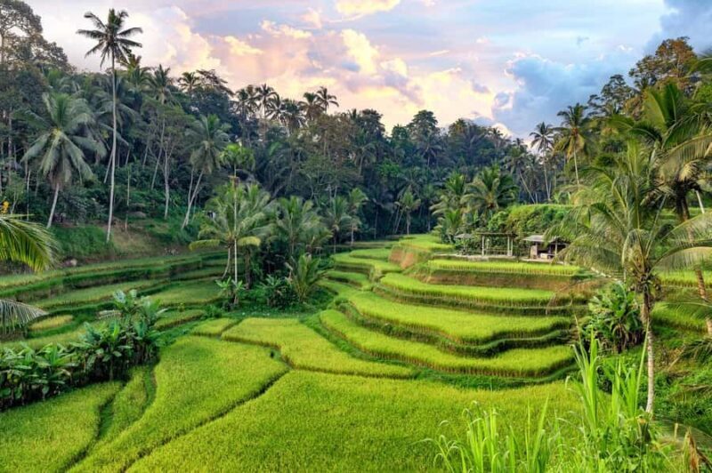 Ubud: Full-Day Highlights Tour with Female Driver Guide - Final Thoughts