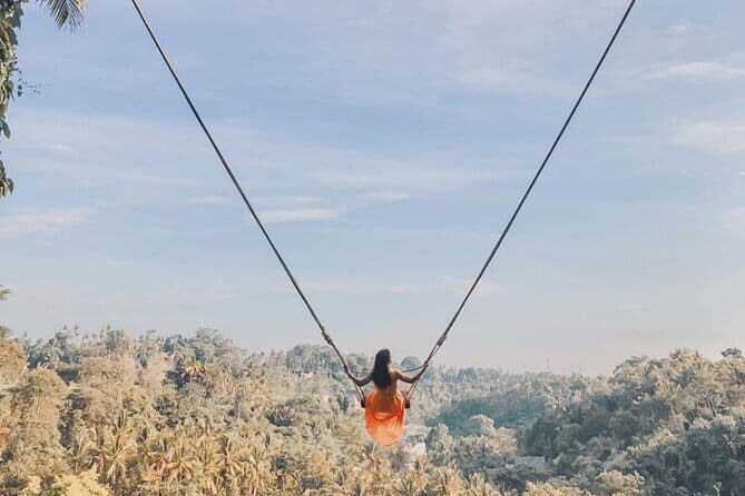 Ubud Full Day - Monkey Forest, Temple and Waterfalls Tour - Ubud Full Day – Monkey Forest, Temple, and Waterfalls Tour Review