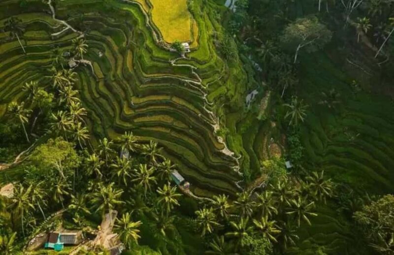 Ubud: Full Day Private Tour - FAQs