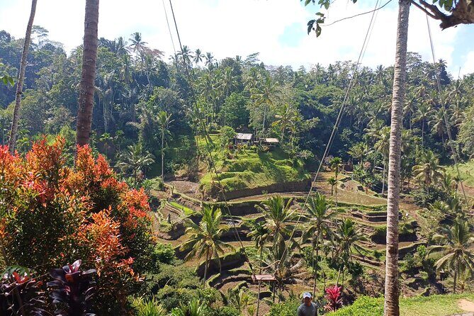 Ubud Full Day Private Tour - FAQ