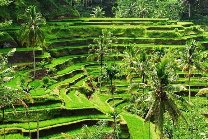 Ubud Full Day Private Tour with All Inclusive - The Sum Up