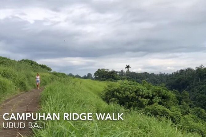 Ubud Full Day Sightseeing Private Guided Tour - Key Points