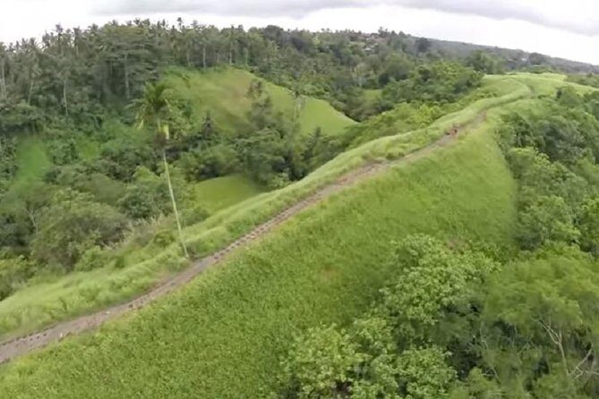 Ubud Full Day Sightseeing Private Guided Tour - Frequently Asked Questions