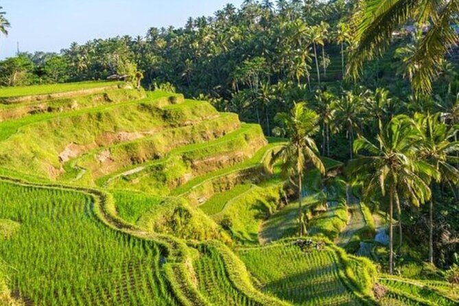 Ubud Full Day Tour Waterfall Monkey Forest Rice Terrace - FAQ