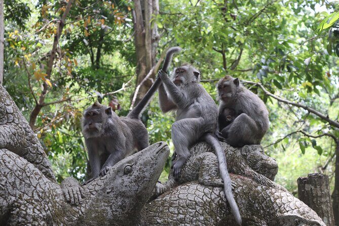 Ubud Full Day Tour with Entry Tickets - Exploring the Depths of the Ubud Full Day Tour