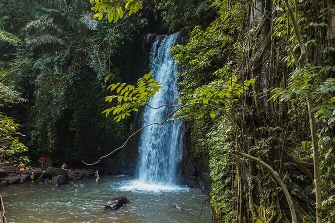 Ubud Full Day Tour with Entry Tickets - Final Thoughts