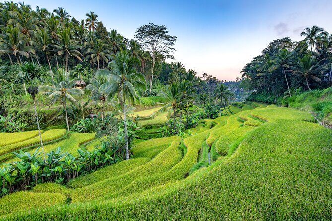 Ubud Full Day Tour with Entry Tickets - FAQ