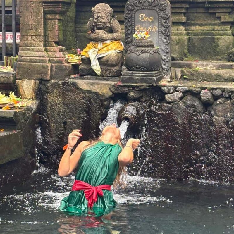 Ubud Gallery Experience: Culture, Waterfall & Rice Terrace - Who Will Love This Tour?