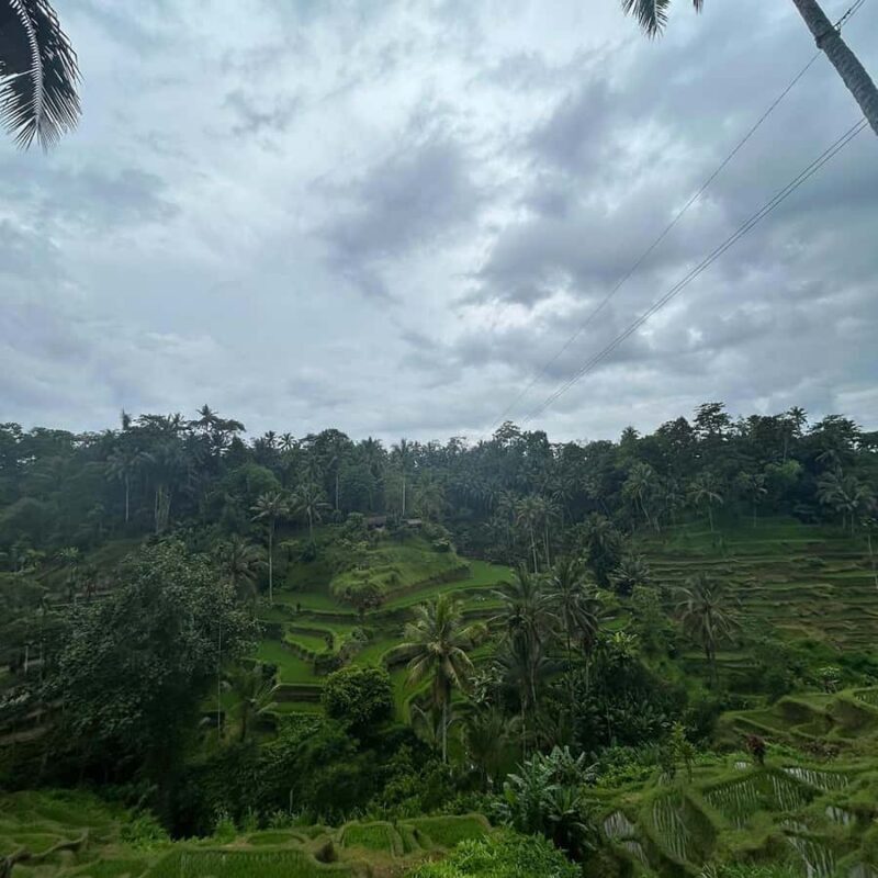Ubud Gallery Experience: Culture, Waterfall & Rice Terrace - FAQ