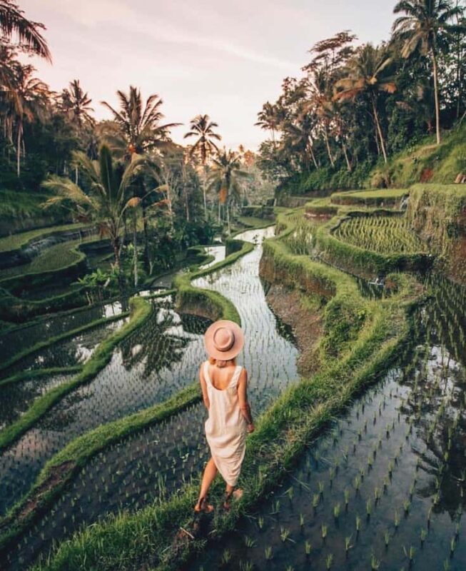 Ubud: Goa Garba, Waterfalls, and Rice Terrace Private Tour - An In-Depth Look at the Ubud Experience