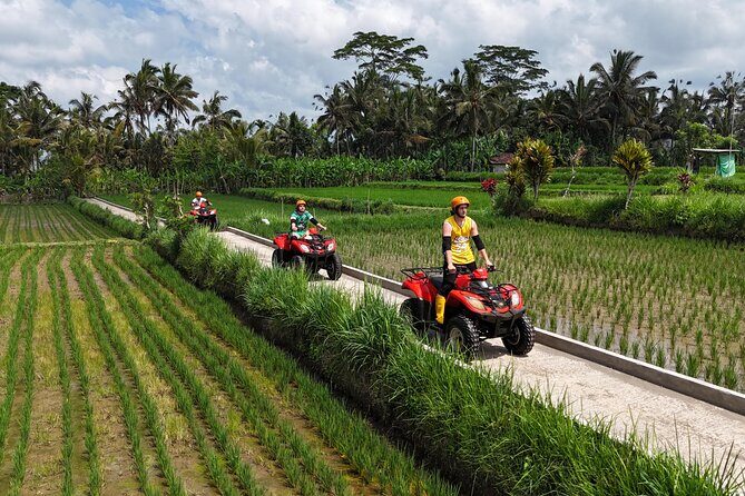 Ubud Gorilla ATV Quad Bike Adventure with Meal - An In-Depth Look at the ATV Adventure