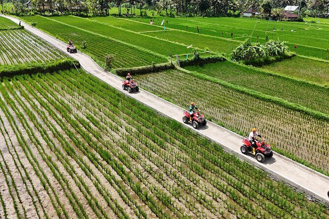 Ubud Gorilla ATV Quad Bike Adventure with Meal - FAQs