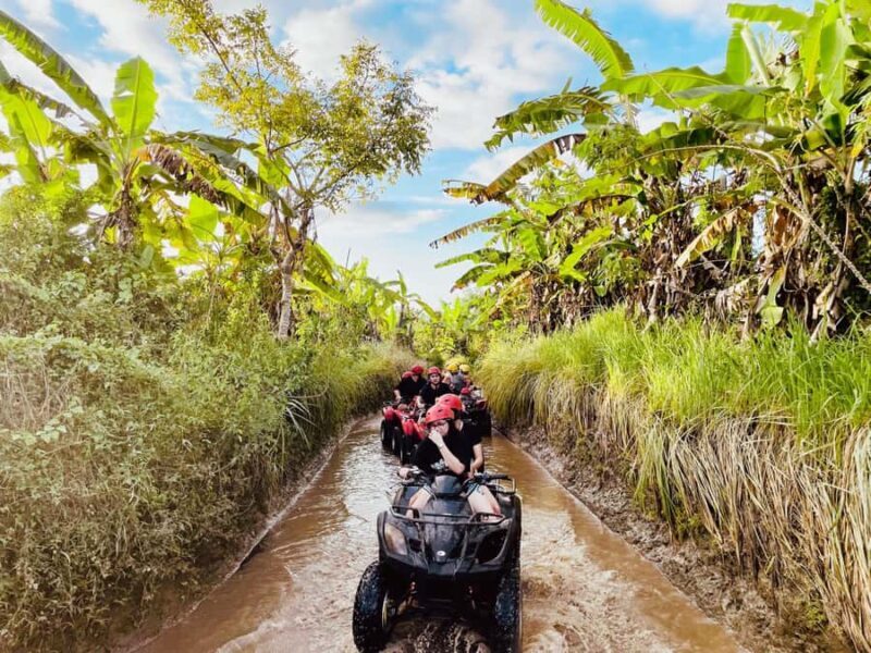 Ubud: Gorilla Face Quad Bike, Jungle Swing, Waterfall & Meal - A Deep Dive into the Ubud Adventure