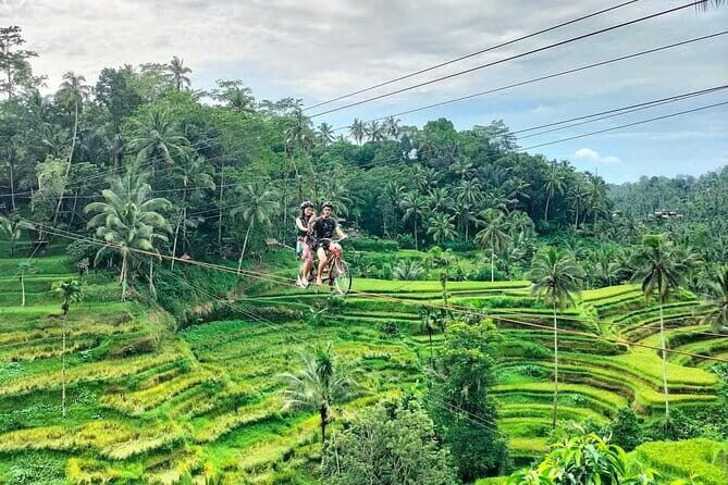 Ubud Half Day Skybike and Zipline Rice Terrace Tour - Who Is This Tour Best For?