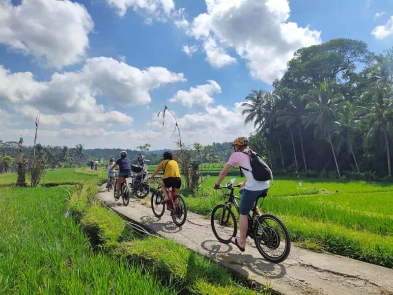 Ubud: Half-Day Tegallalang Electric Cycling Tour - Key Points